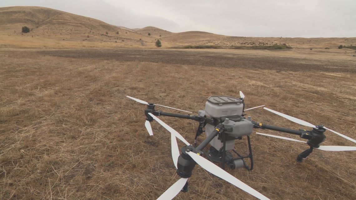 How drones are helping restore Oregon's wildfire-damaged ranchlands ...