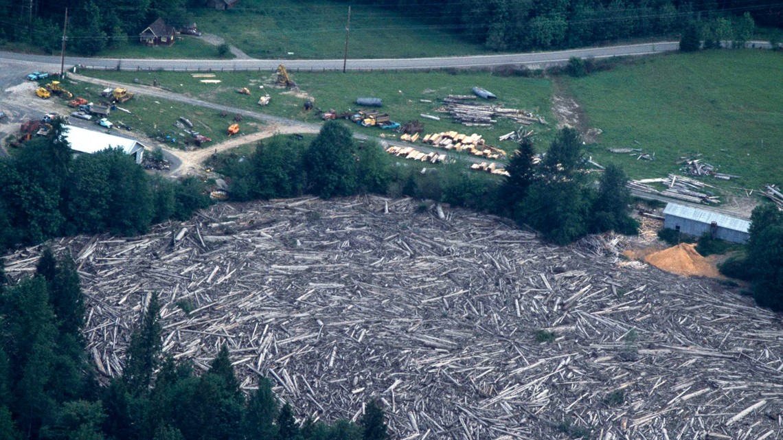 Mount St. Helens: A timeline | kgw.com
