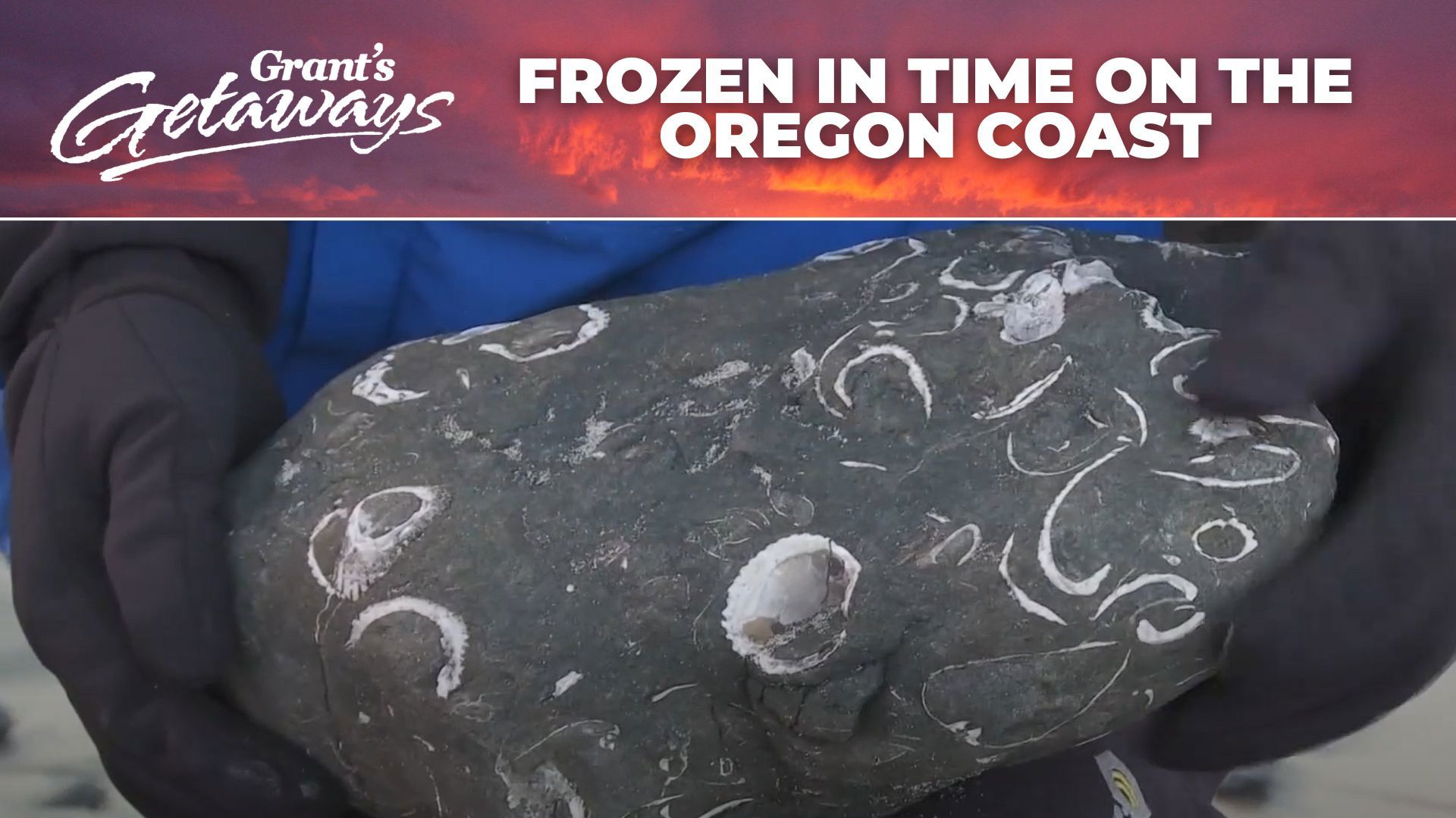 Discover rocks 'frozen in time' along Oregon coastline's near Newport ...