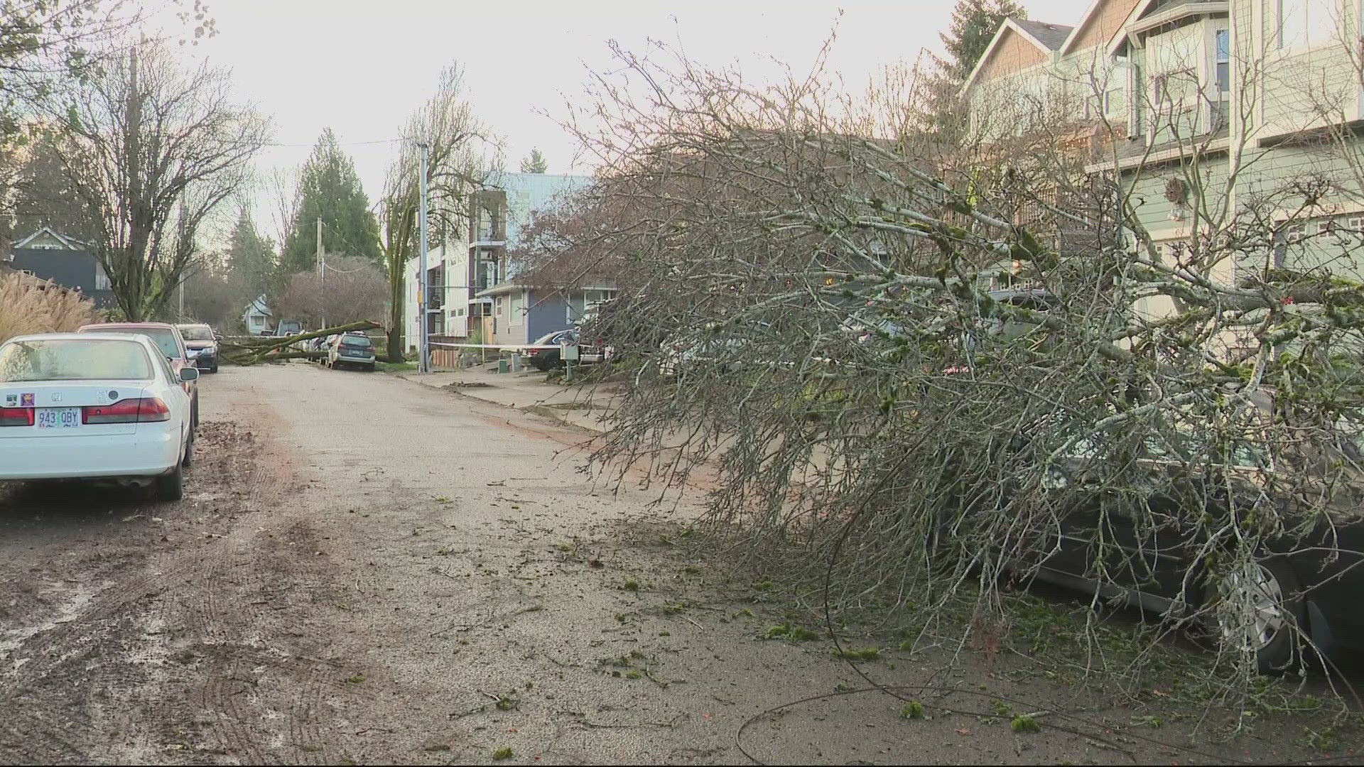 High winds fell trees, cause widespread damage across Portland ...