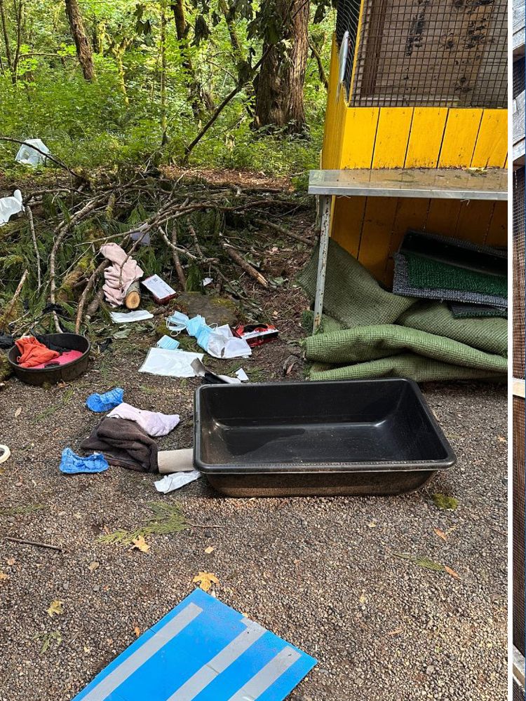 Intruder releases birds from Oregon wildlife center; 1 bird presumed ...