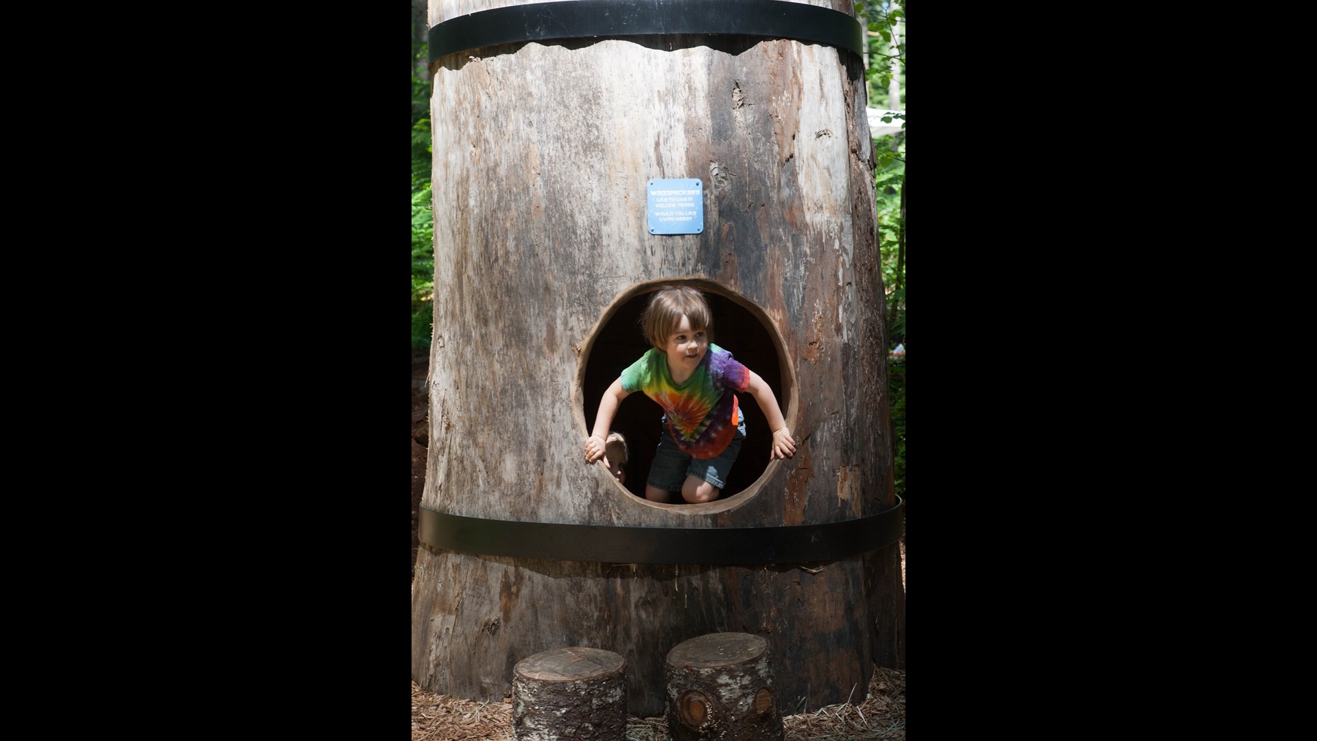 Grant's Getaways: Tree to Tree Aerial Adventure Park | kgw.com