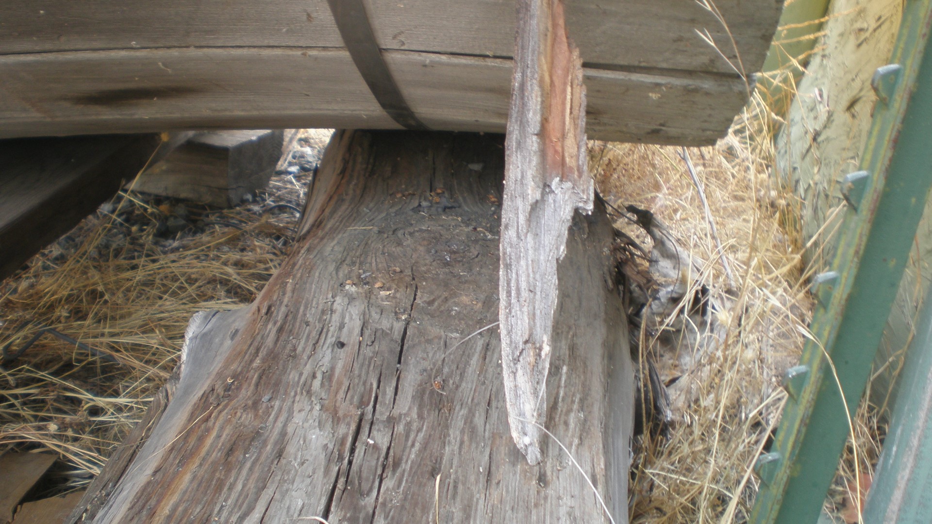 Photos: Oregon man rigged his home with booby traps, tripwires | kgw.com