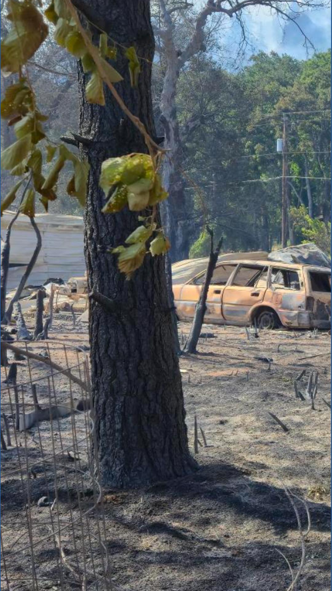 Rowena Fire destroys 20 homes near The Dalles: I-84 reopens | kgw.com
