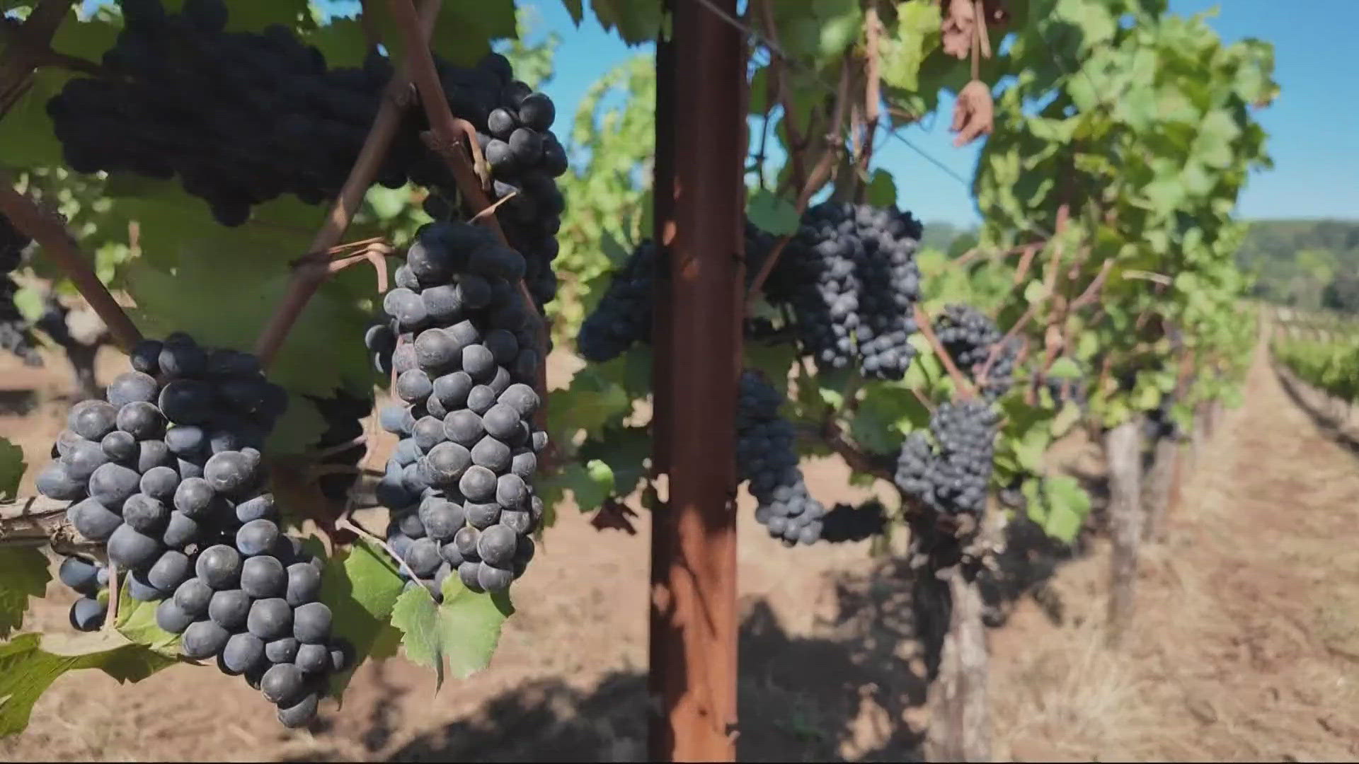 A Paris court finds 10 people guilty of cyberbullying France’s first ...