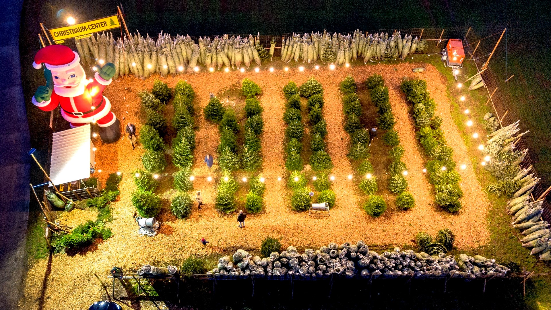 Future Christmas trees may depend on growers' ability to adapt | kgw.com