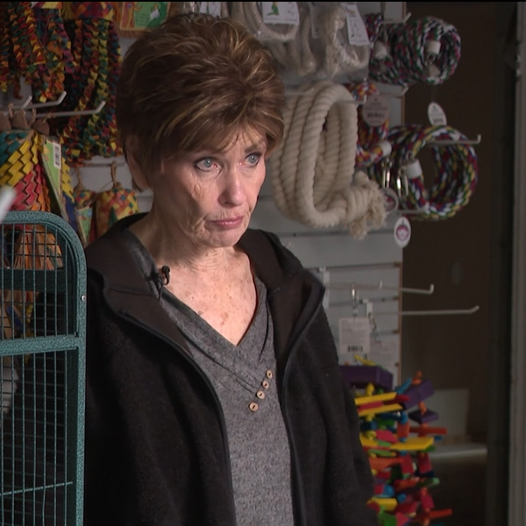 JaMarcus Shephard era begins: Oregon State welcomes new football coach ...