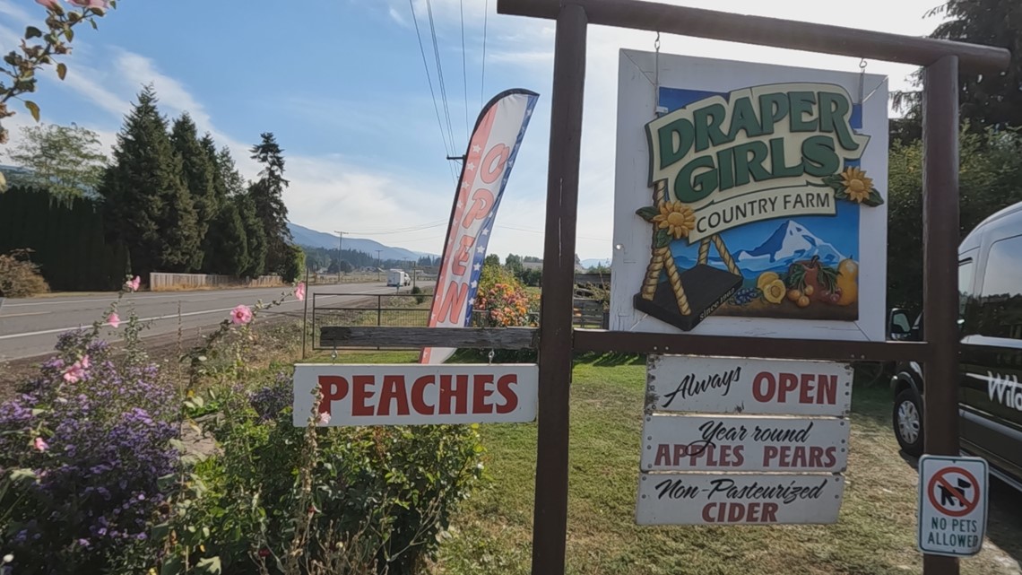 Apple picking at Draper Girl's Country Farm Hood River Fruit Loop | kgw.com