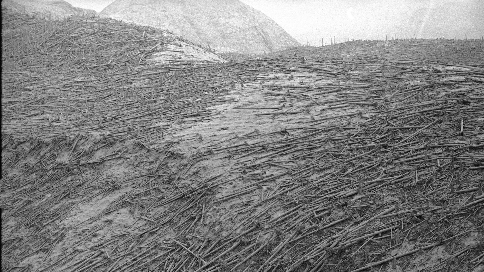 Photos: The eruption of Mount St. Helens on May 18, 1980 | kgw.com