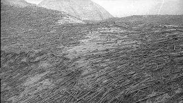 Mount St. Helens: A timeline | kgw.com