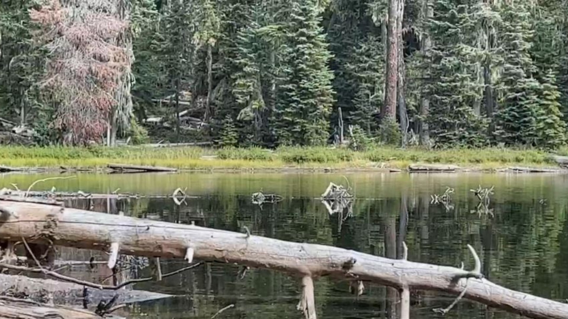A mistake in the 1960s gave a High Cascades lake the name Boo Boo | kgw.com