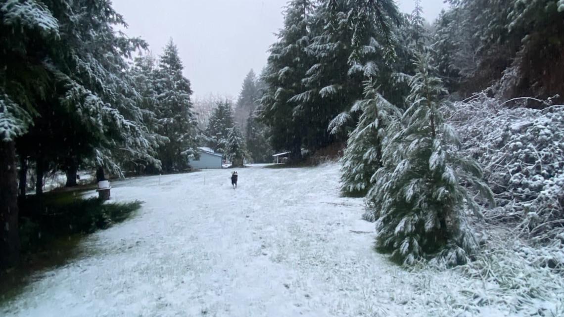 Portland snow timeline: When lower elevations could see sticking snow ...
