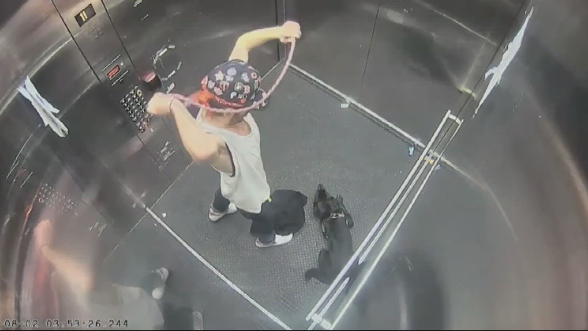 Portland man caught on camera abusing dog sentenced to jail | kgw.com