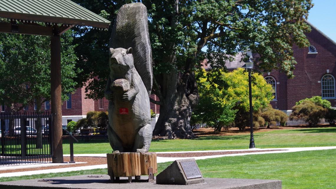 Who built Longview's first bridge for squirrels | kgw.com