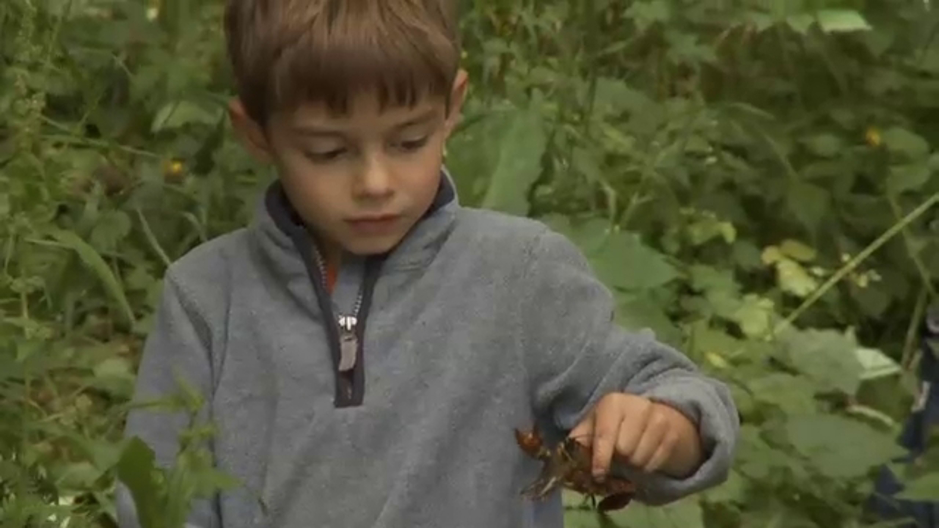 Camping on Trask River in Oregon Coast Range | kgw.com