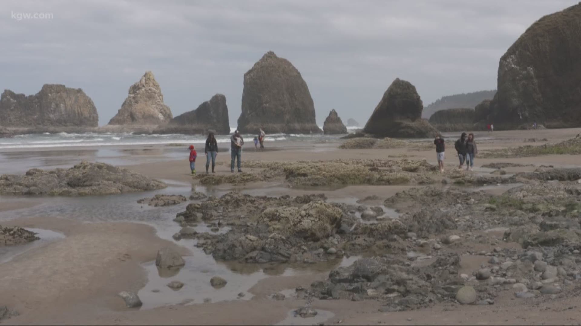 New program teaches about natural resources at Oregon coast | kgw.com