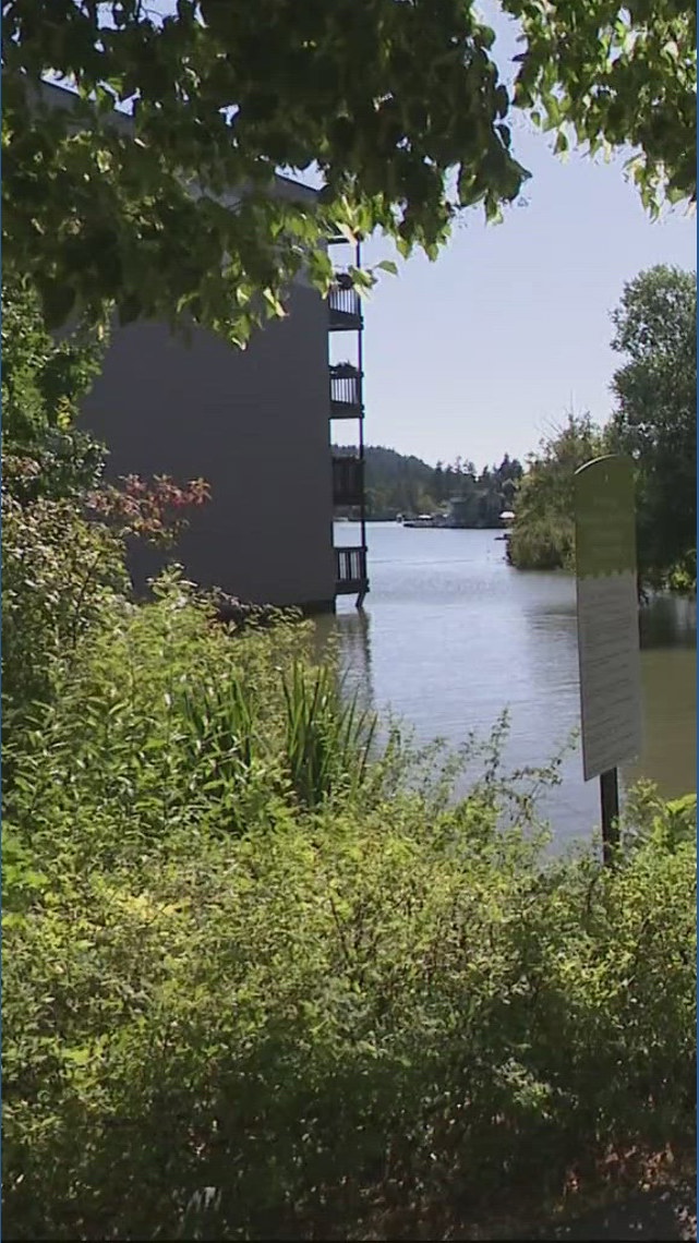 Lake Oswego releases report on lake activity during first summer of ...