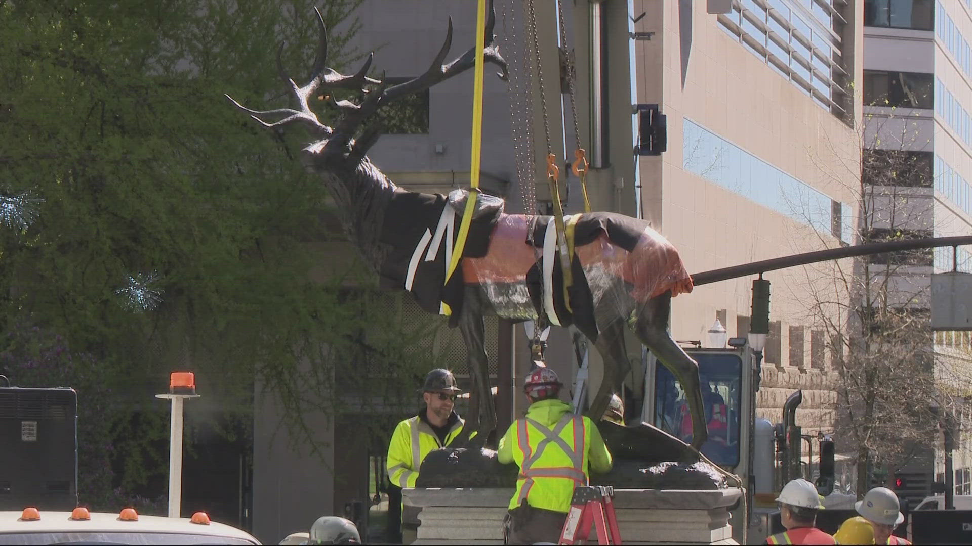 Portland’s Thompson Elk statue returns downtown after years of repairs ...