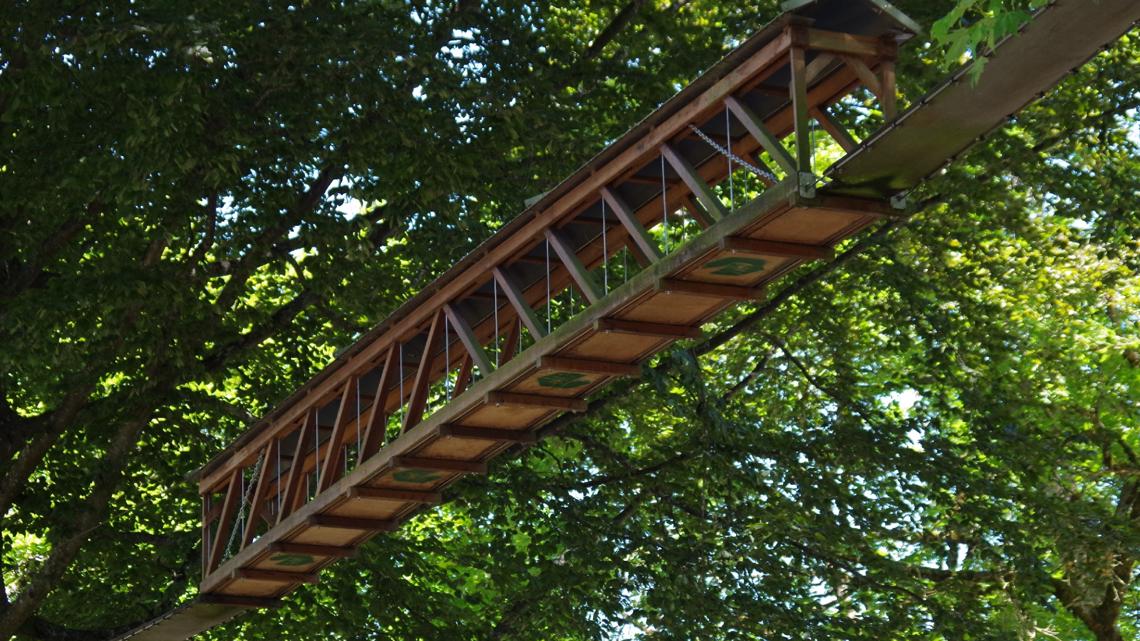 Who built Longview's first bridge for squirrels | kgw.com