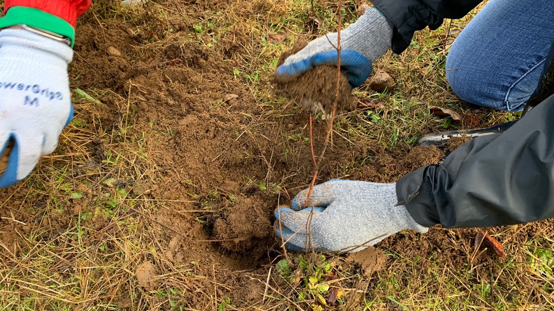 Celebrating Martin Luther King Jr. Day in Oregon: Events | kgw.com