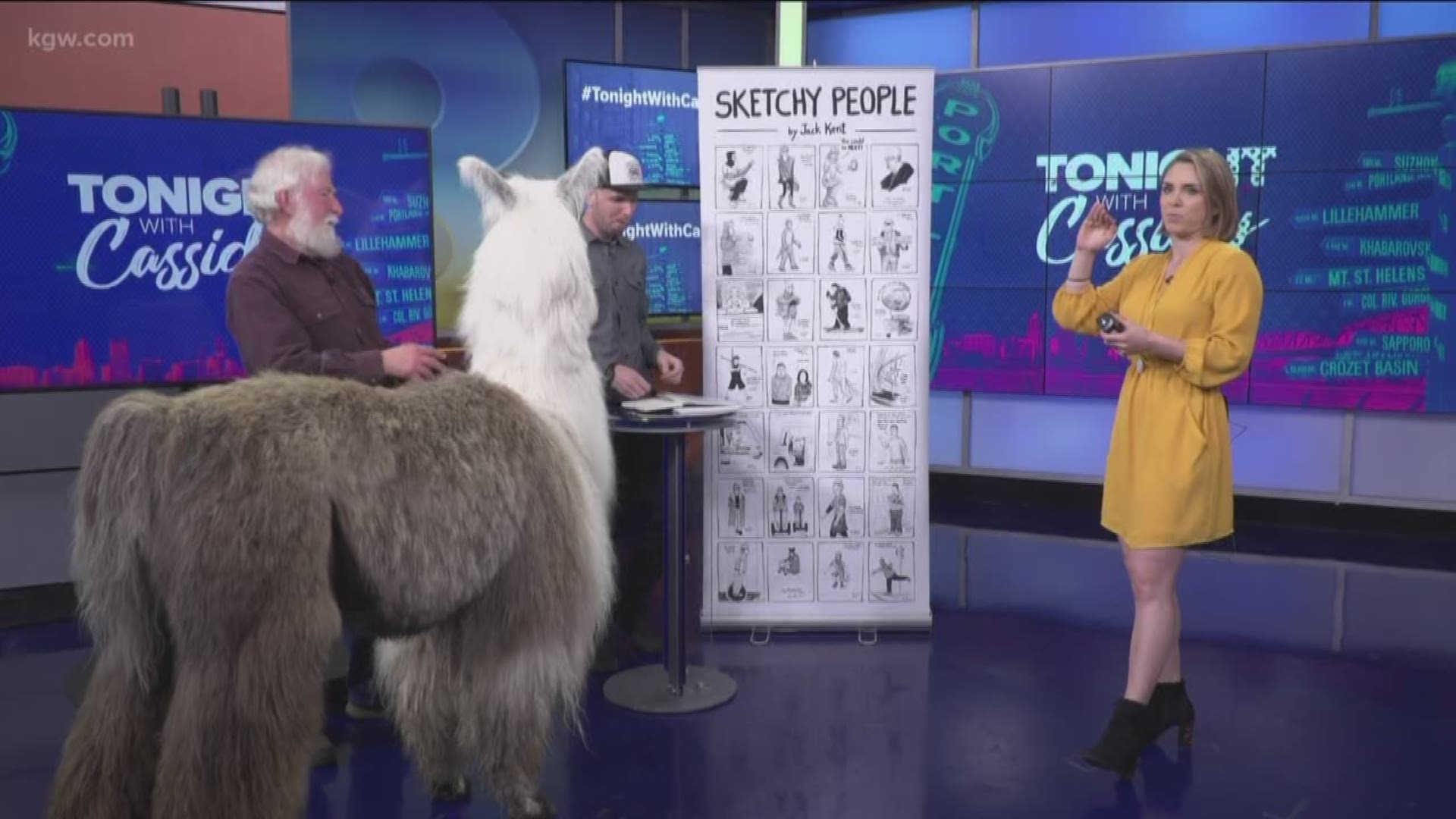 Redditors answer the call to Photoshop Cassidy Quinn and Caesar the ...