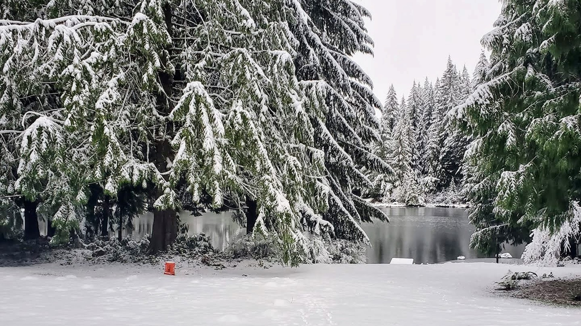 Photos and videos: Snow in Oregon and Washington | kgw.com