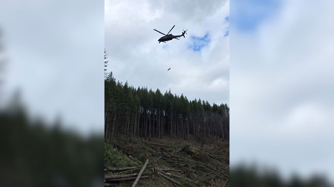 Army National Guard Black Hawk rescues logger struck by falling tree ...