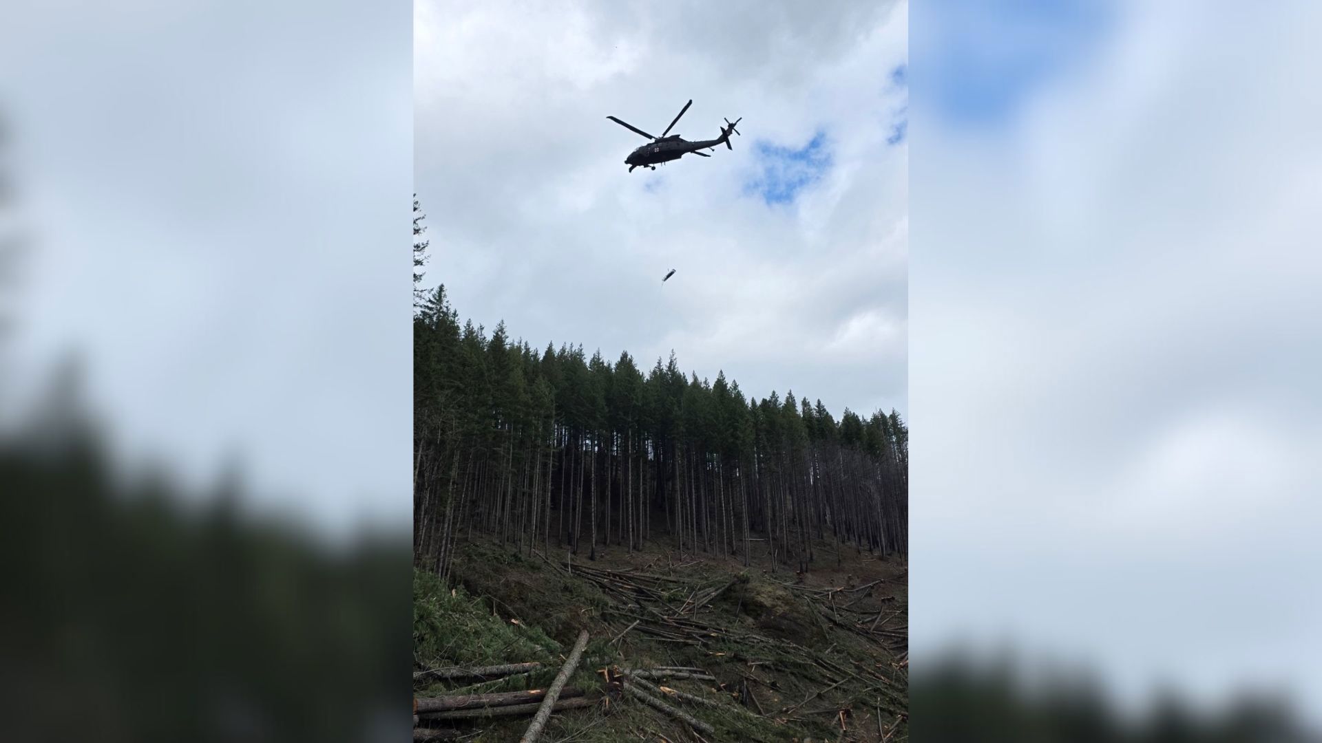 Army National Guard Black Hawk rescues logger struck by falling tree ...