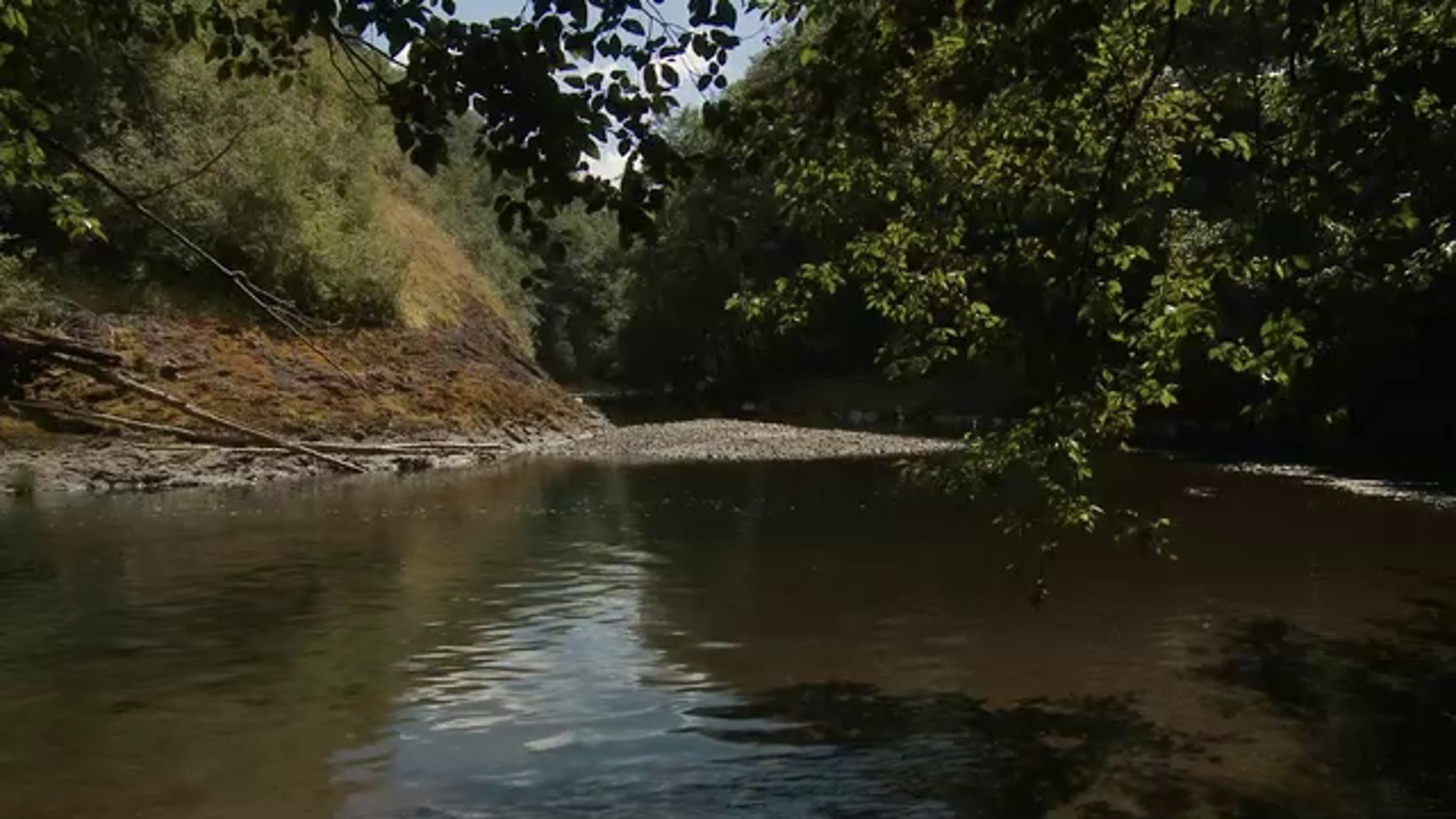 Camping on Trask River in Oregon Coast Range | kgw.com