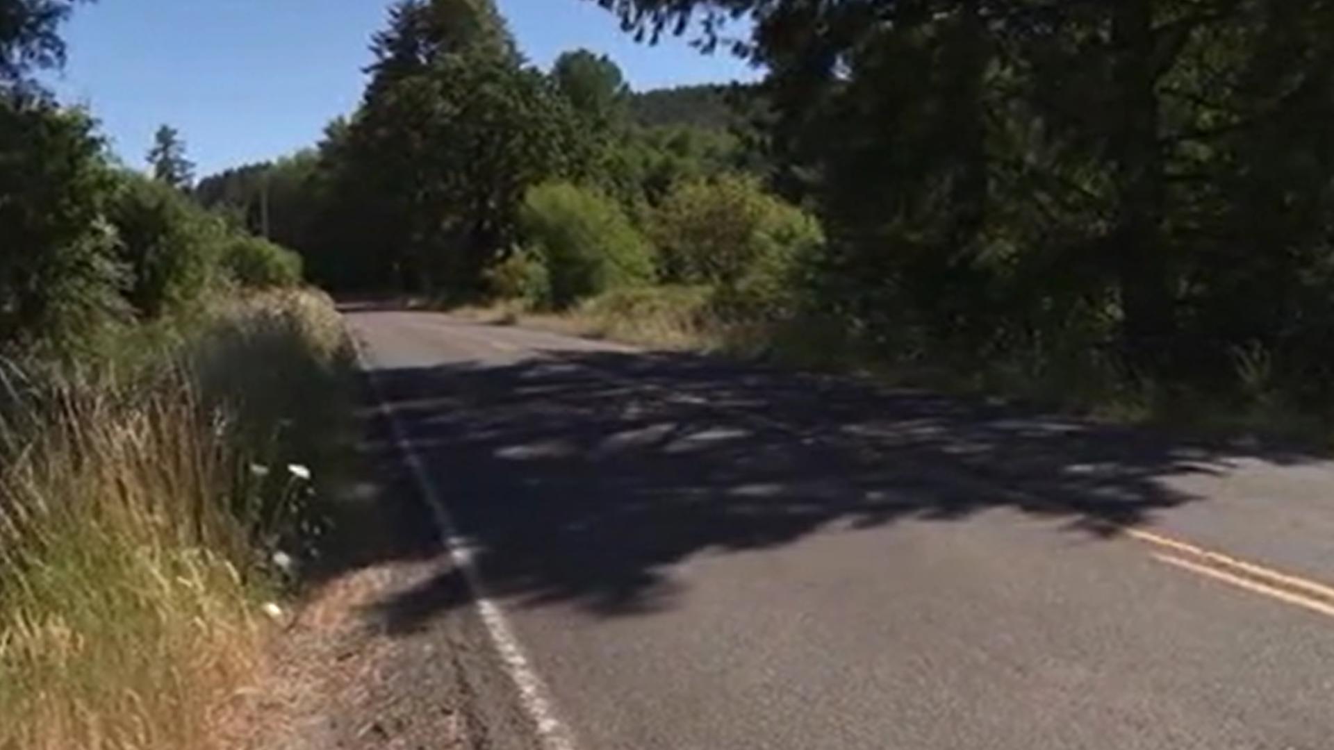 Bicyclist spends night in ditch after Washington County hit-and-run ...