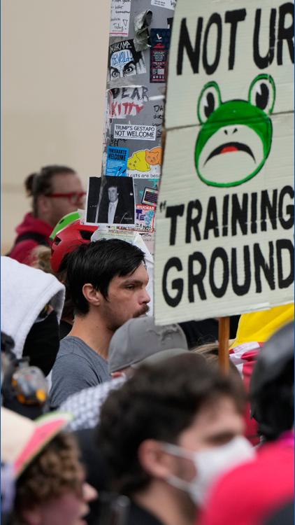 Anti-ICE protester's frog costume gains a reach well beyond the small ...