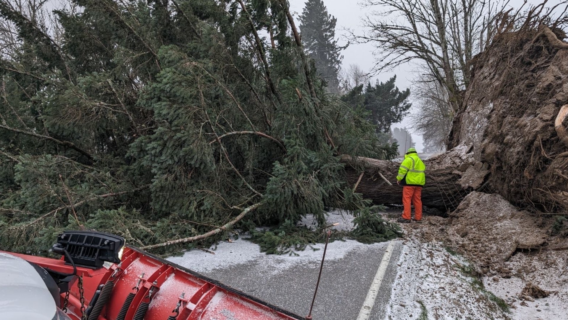 4 dead, power outages, roads locked: Portland storm aftermath | kgw.com