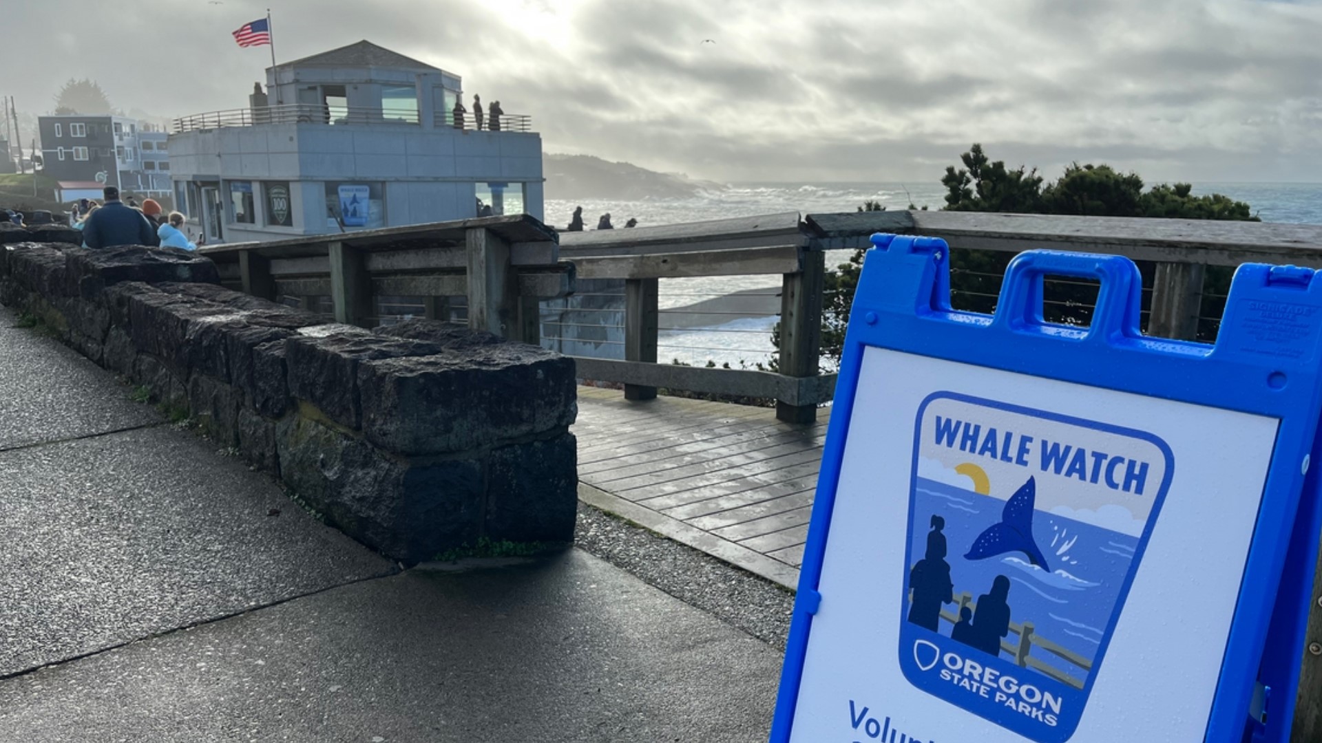 Whale watching on Oregon coast: Where and when to see gray whales | kgw.com