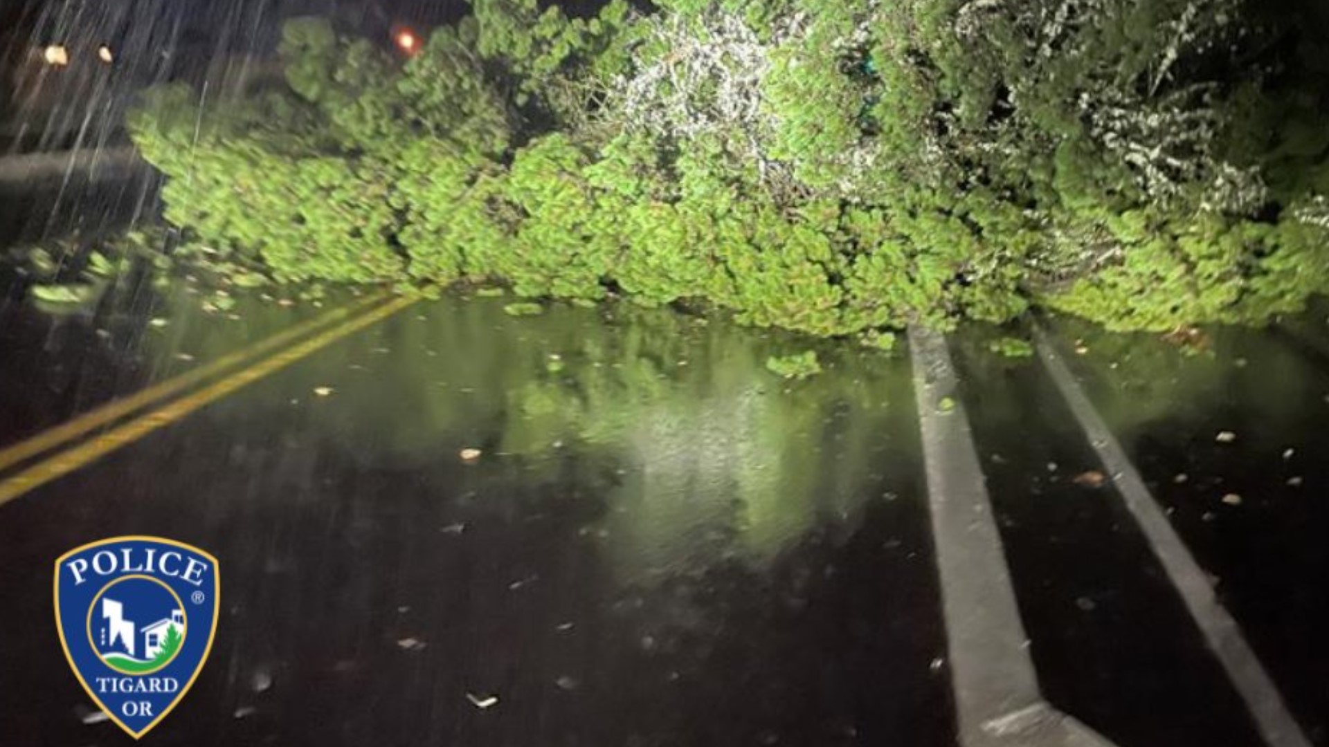 Portland grapples with flooding and downed trees citywide | kgw.com