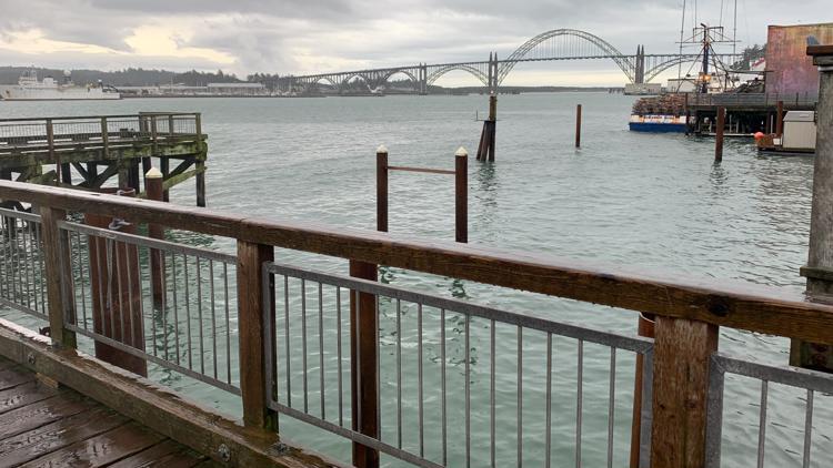 Newport sea lion docks destroyed in winter storm | kgw.com