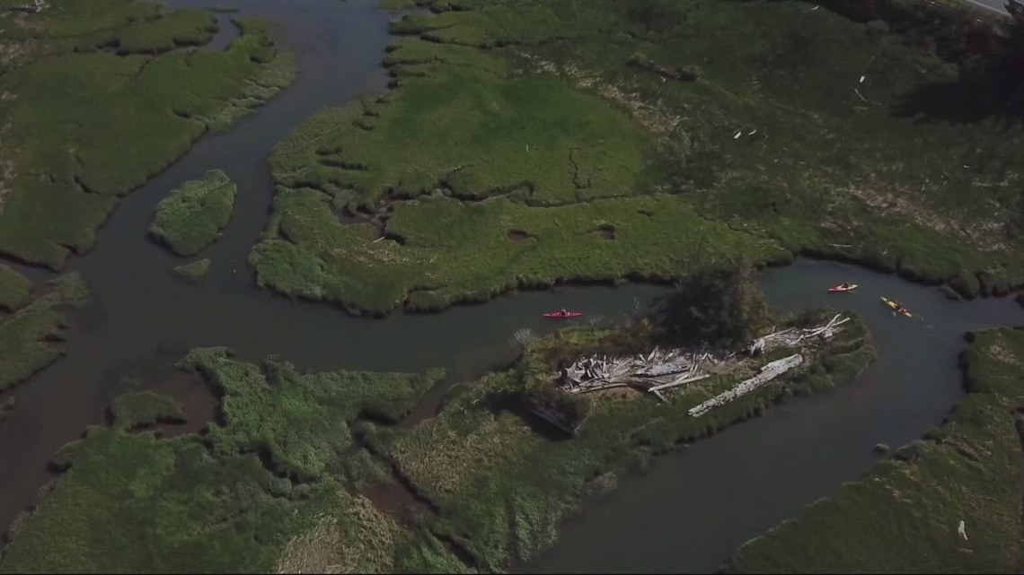 Paddle the estuaries of the Oregon Coast in a sea kayak | kgw.com