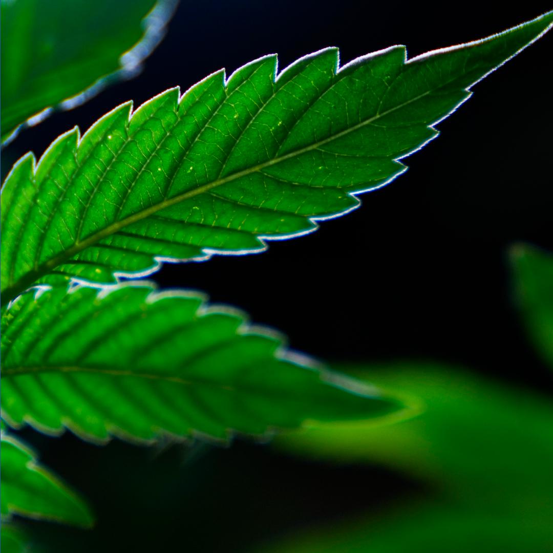Oregon Gov. Kotek signed 16 bills into law this week. Here's what they ...