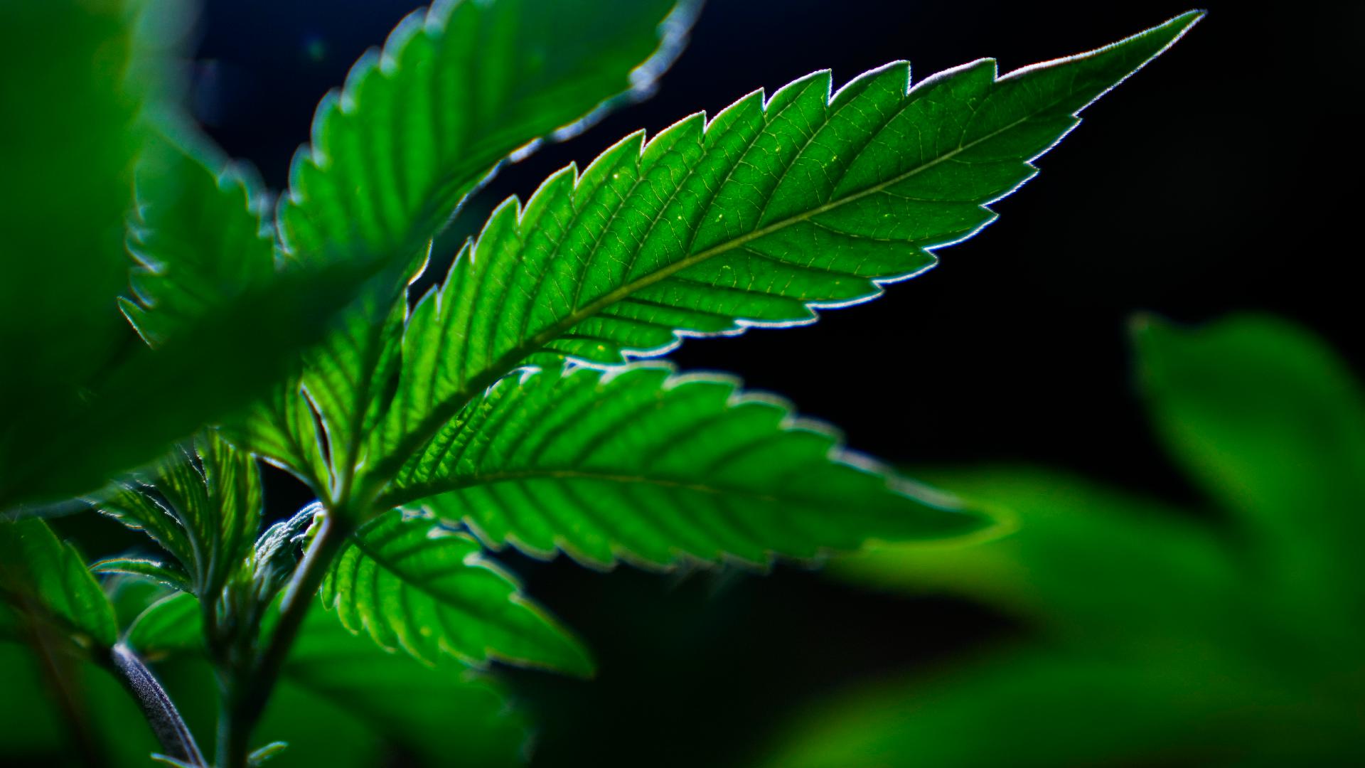 Oregon Gov. Kotek signed 16 bills into law this week. Here's what they ...