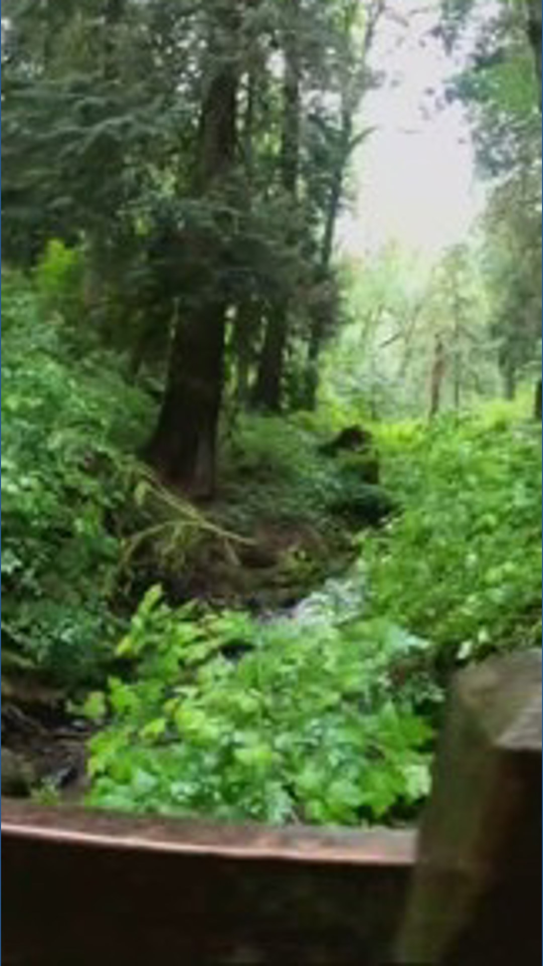 Oregon residents face higher state park fees as 2025 begins, permits ...