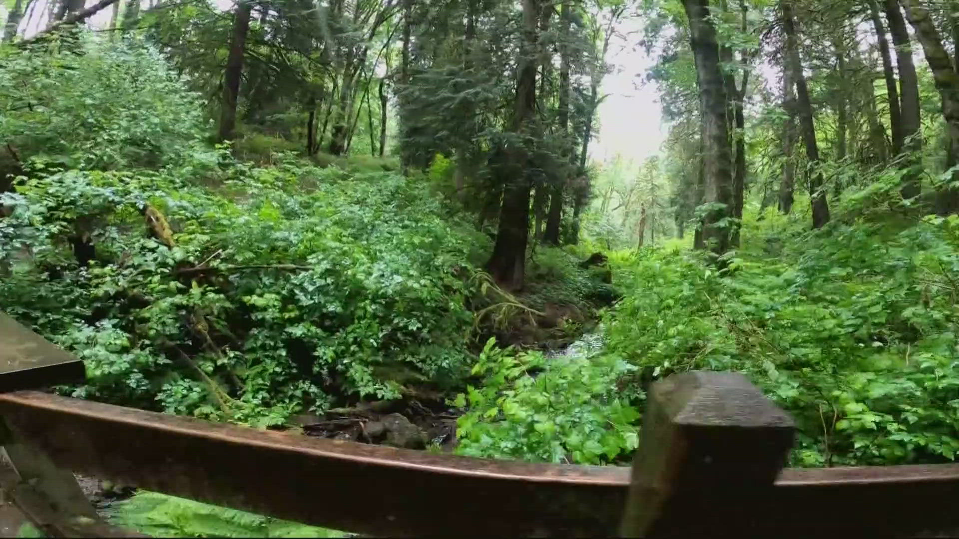 The annual parking permit for Oregon State Parks is about to double in ...