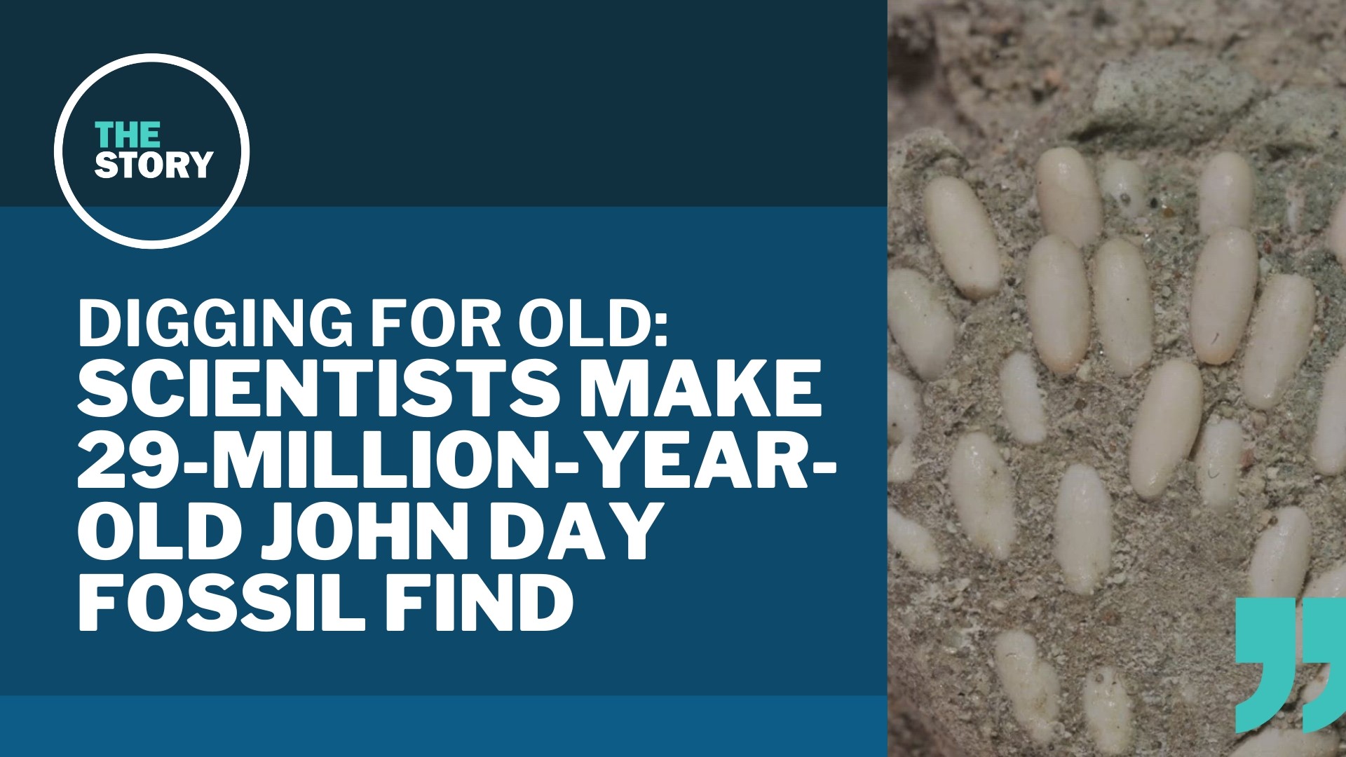 Researchers make one-of-a-kind fossil discovery in eastern Oregon ...