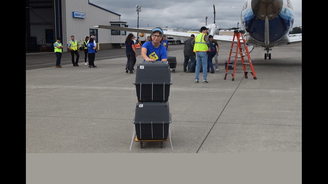 PHOTOS: Portland receives beagle plane | kgw.com