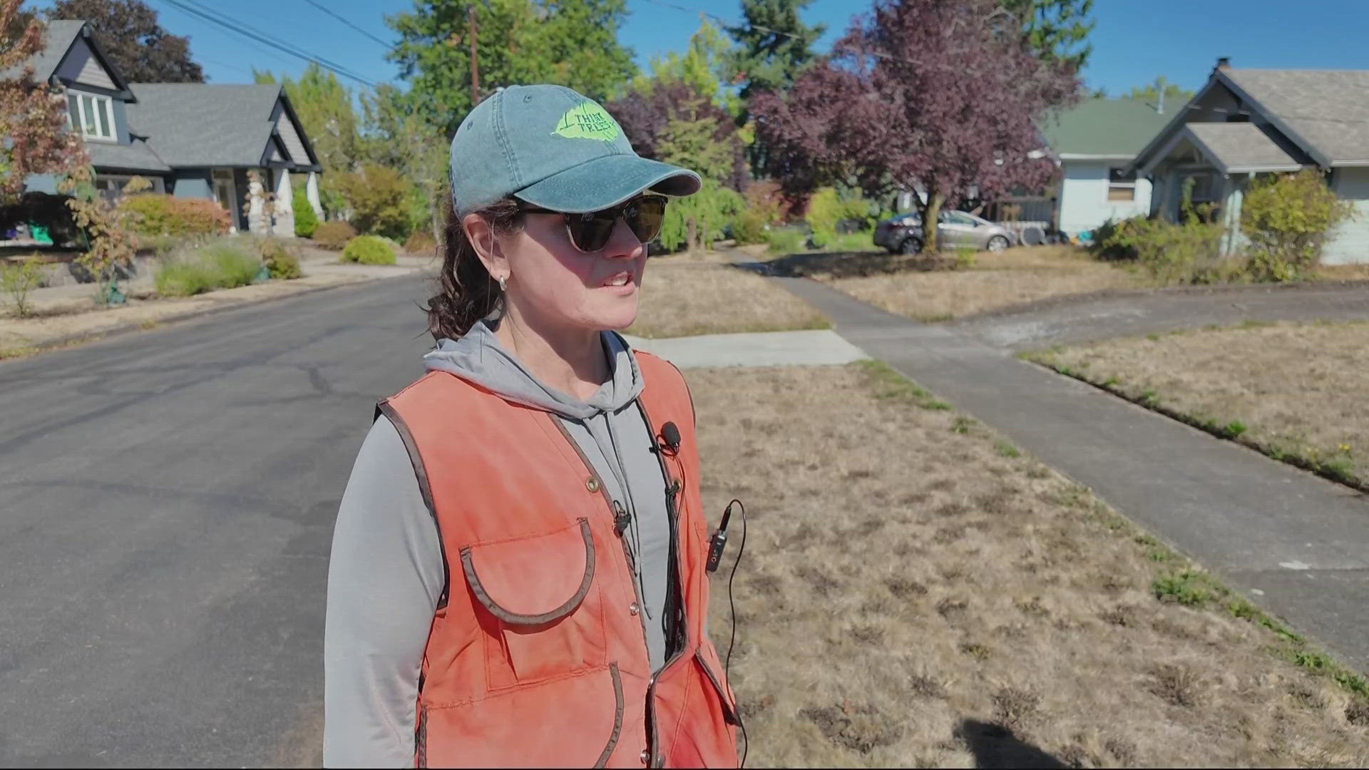 Portland launches $2M tree planting program to expand shade, fight ...