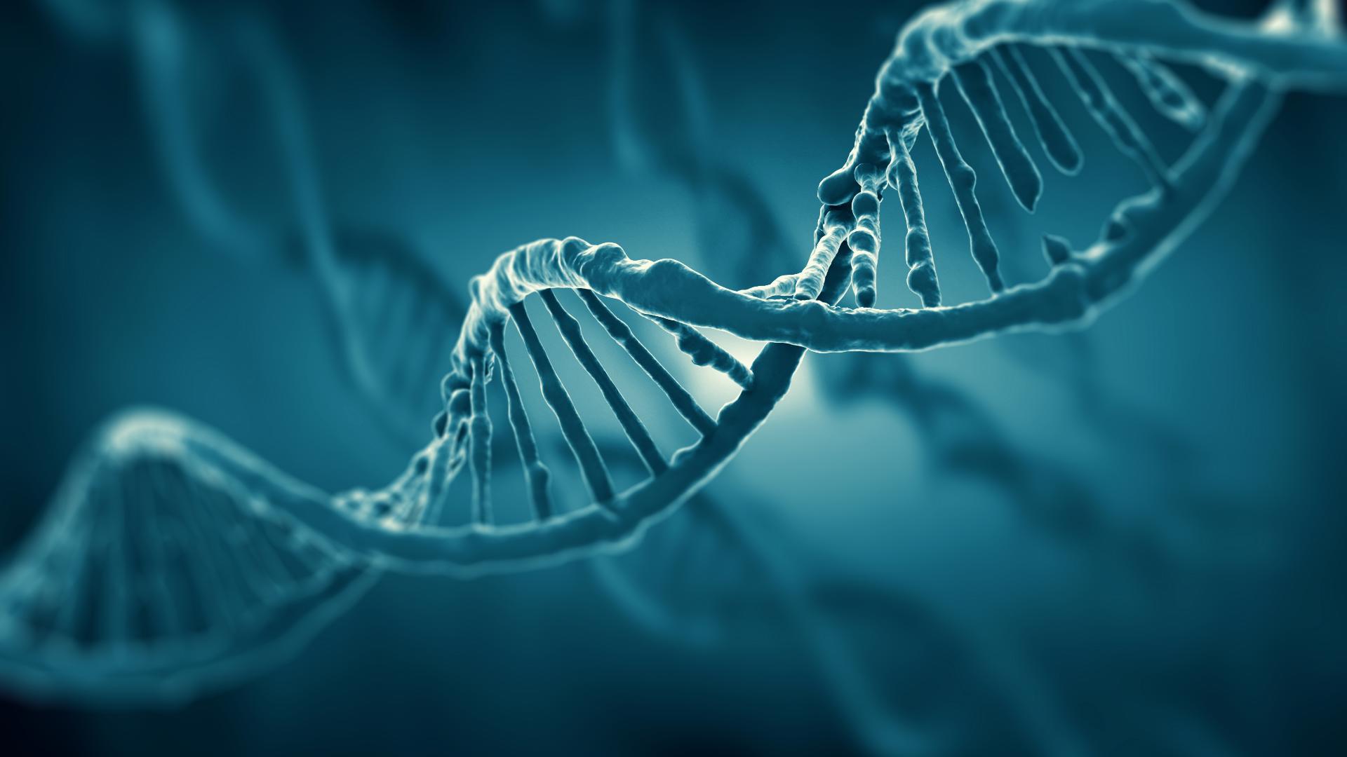 DNA testing identifies remains found on Washington beach as former ...