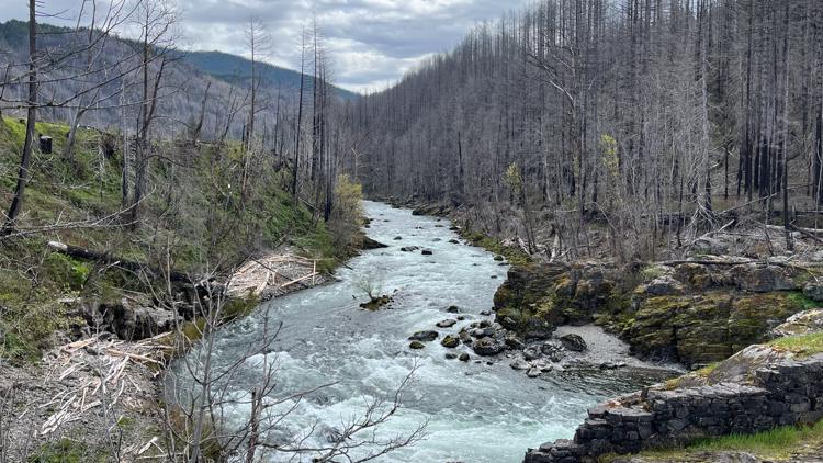 Marion County reopens Santiam Canyon's wildfire-affected parks | kgw.com