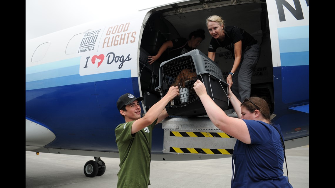 PHOTOS: Portland receives beagle plane | kgw.com