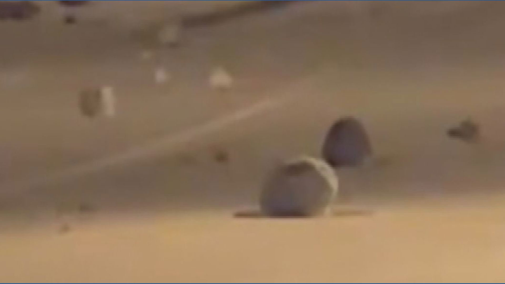 Upstate New York sees pre-rolled snowballs | kgw.com