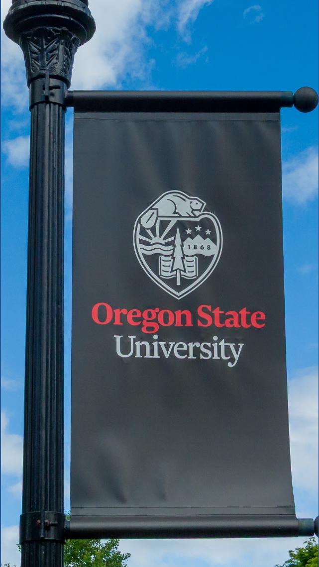Portland nonprofit Free Geek celebrates 25 years | kgw.com