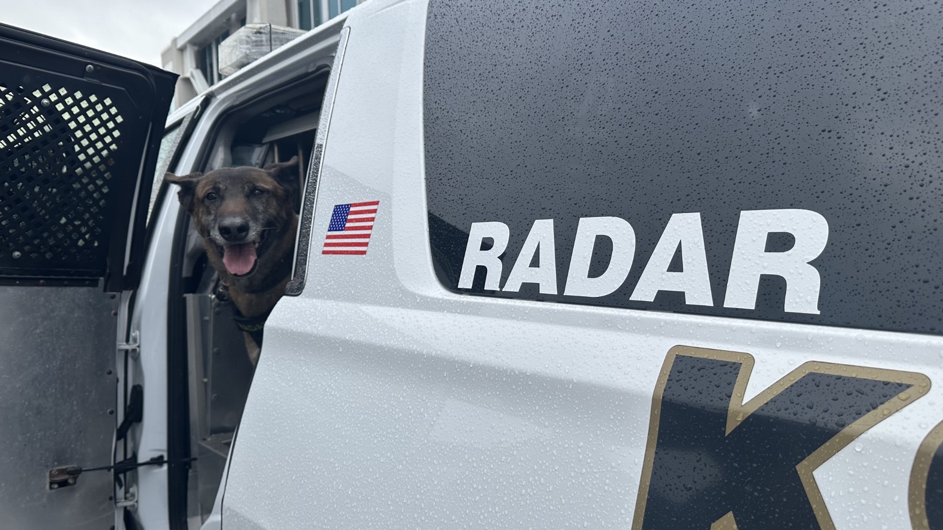 Washington County K9 finds fame on social media | kgw.com