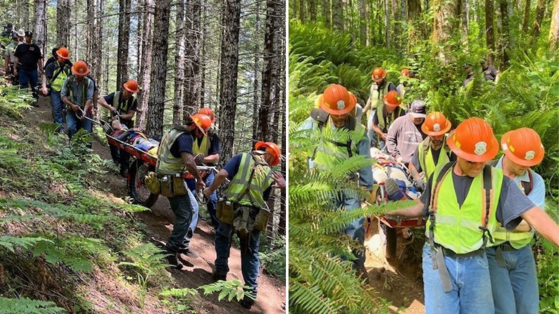 Prison work crew rescues injured hiker in Oregon forest | kgw.com